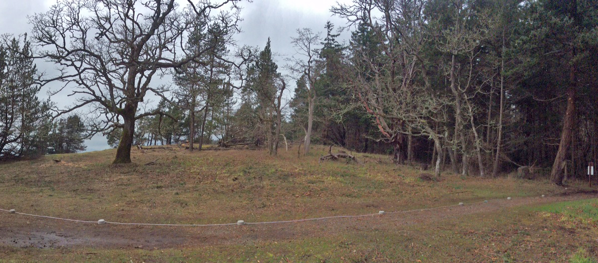 Ecosystem Restoration in Helliwell Provincial Park – A Backgrounder Report