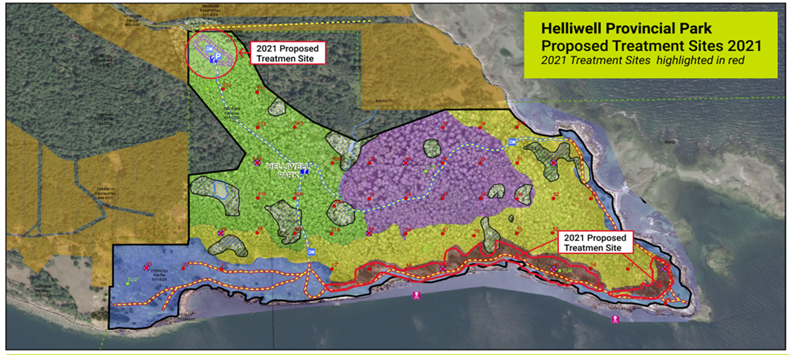 Fuel Management and Ecological Restoration Go Hand in Hand at Helliwell ...