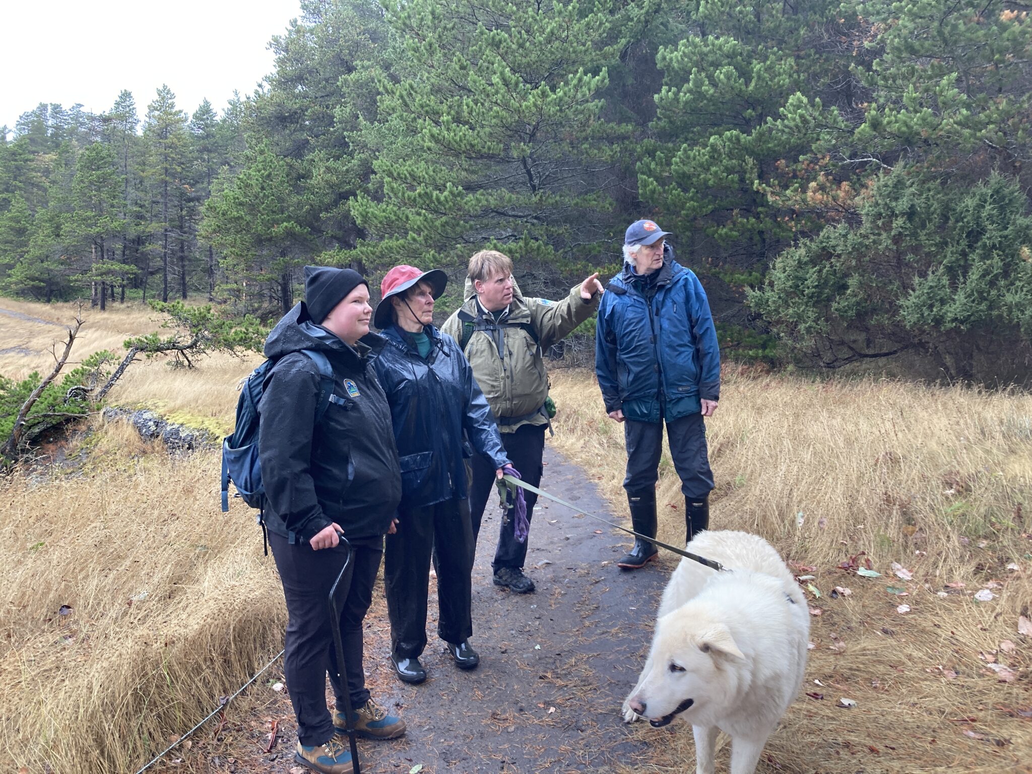 Fuel Management Continued in Helliwell Last Fall and Winter